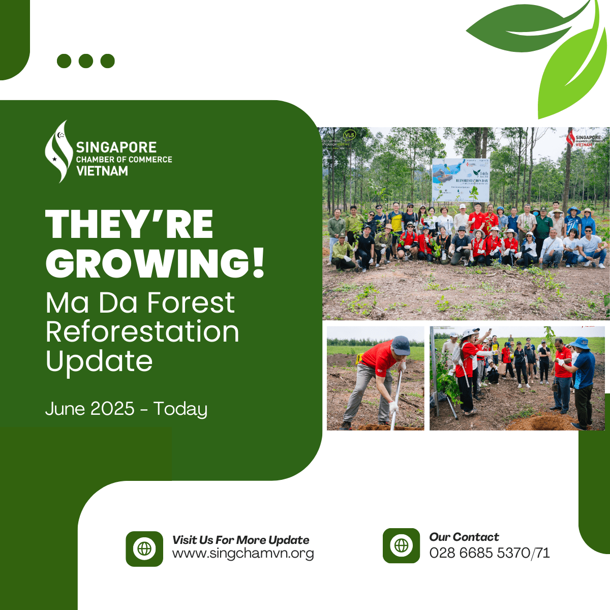 Growing Our Promise: An Update from Ma Da Forest - SINGCHAM VIETNAM